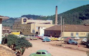 Seara Trabalhe Conosco: confira os benefícios e carreiras